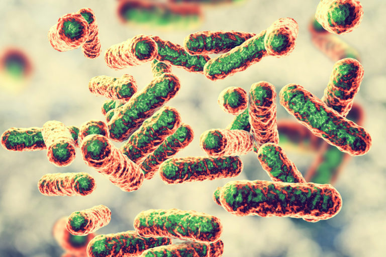 Bartonella Symptoms and Testing - Dr. Todd Maderis